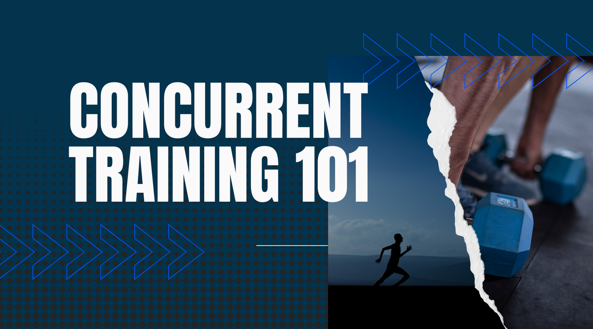 Concurrent Training 101 – Terminator Training